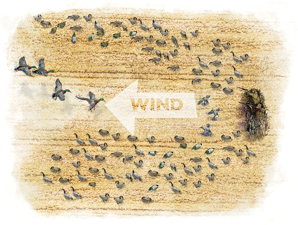 Essential Duck & Goose Decoy Spreads